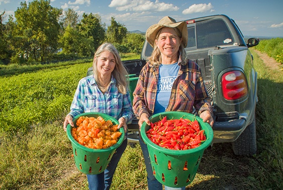 Hudson Valley Developer Buys Large Farm Parcel With Colorful History To ...